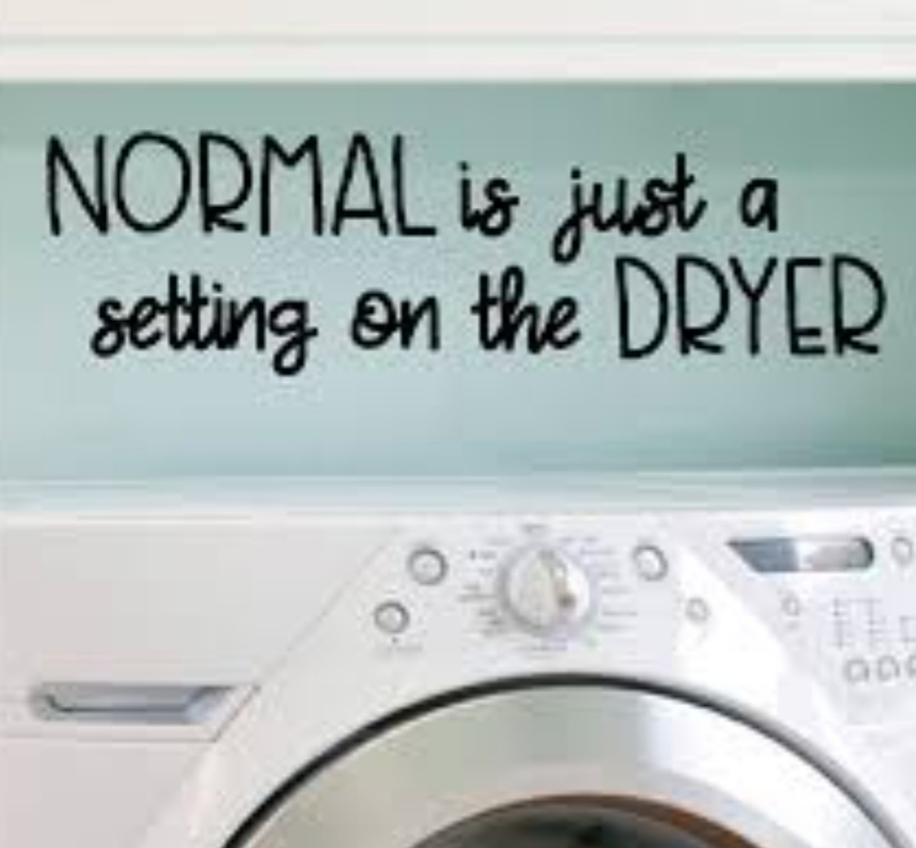 Normal Is Just A Setting On The Dryer